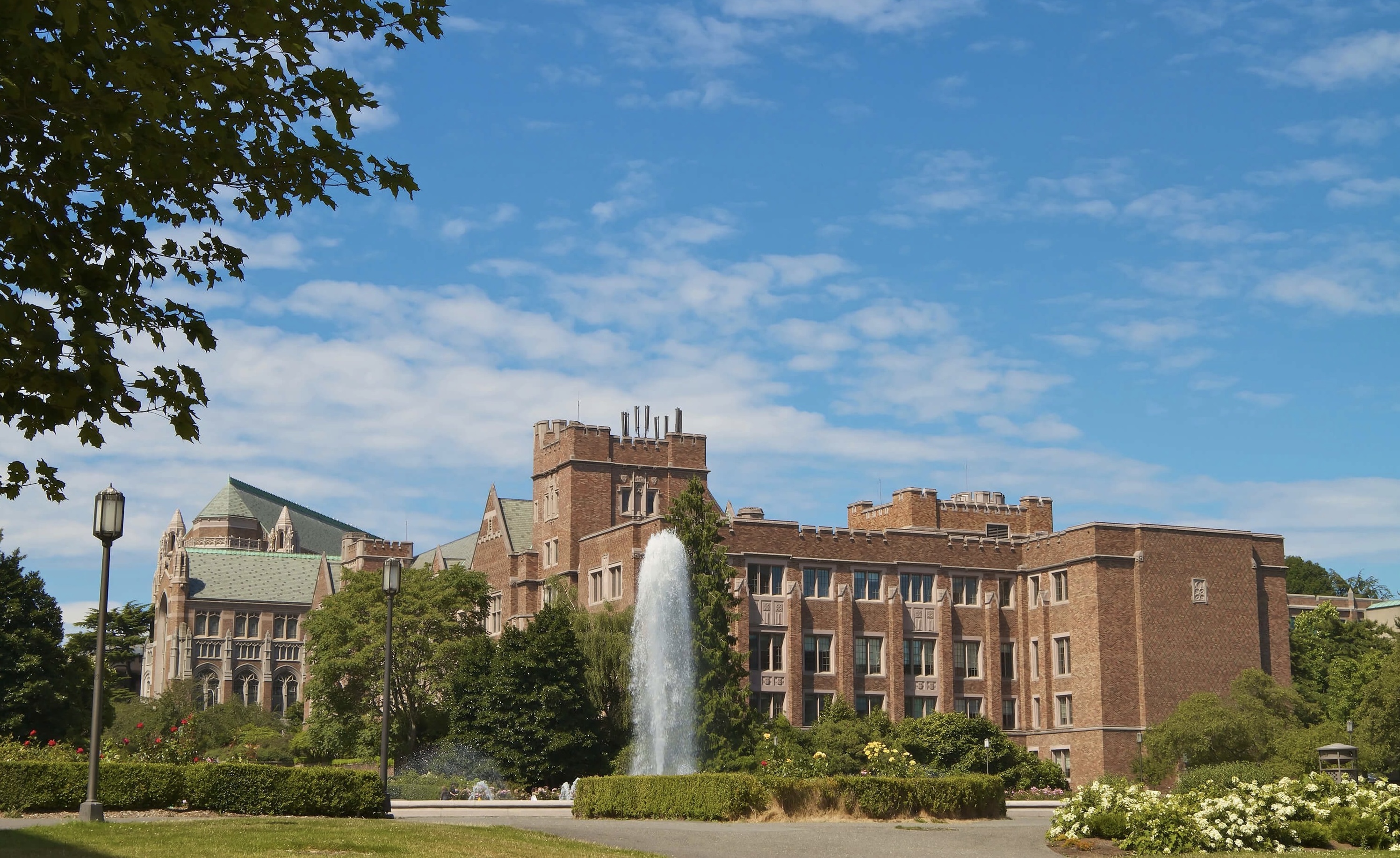 国内考研or英国硕士留学哪个划算？26falll深造何去何从？